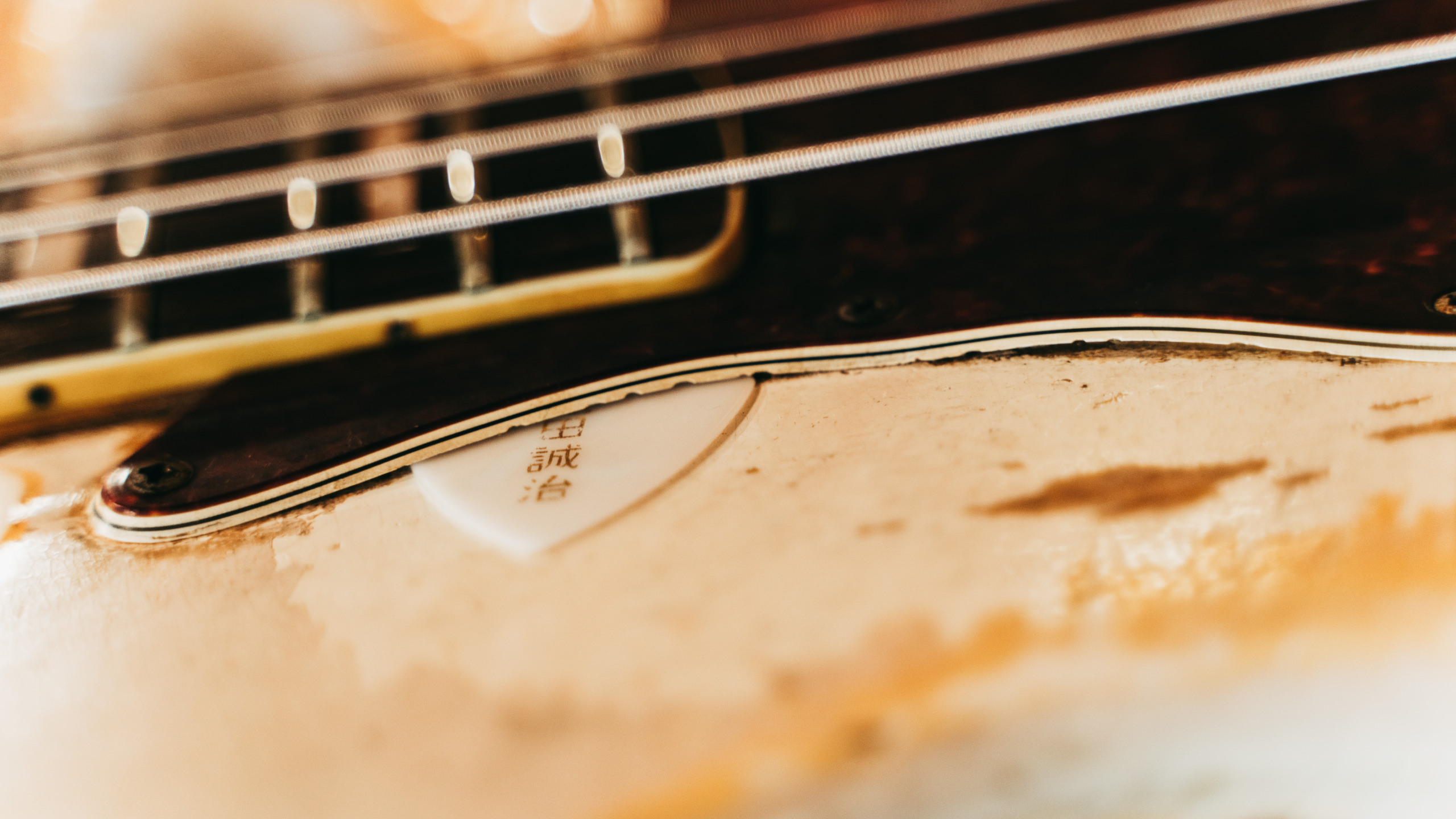 Kameda – 誠屋 -MAKOTOYA- Official WebSite